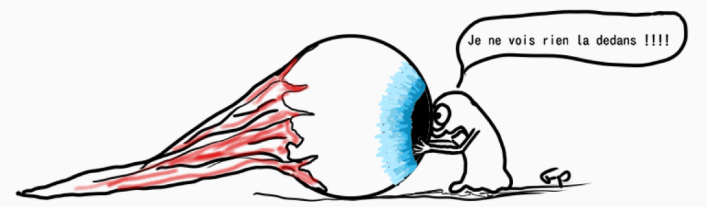 Optique – Activités LP Maths